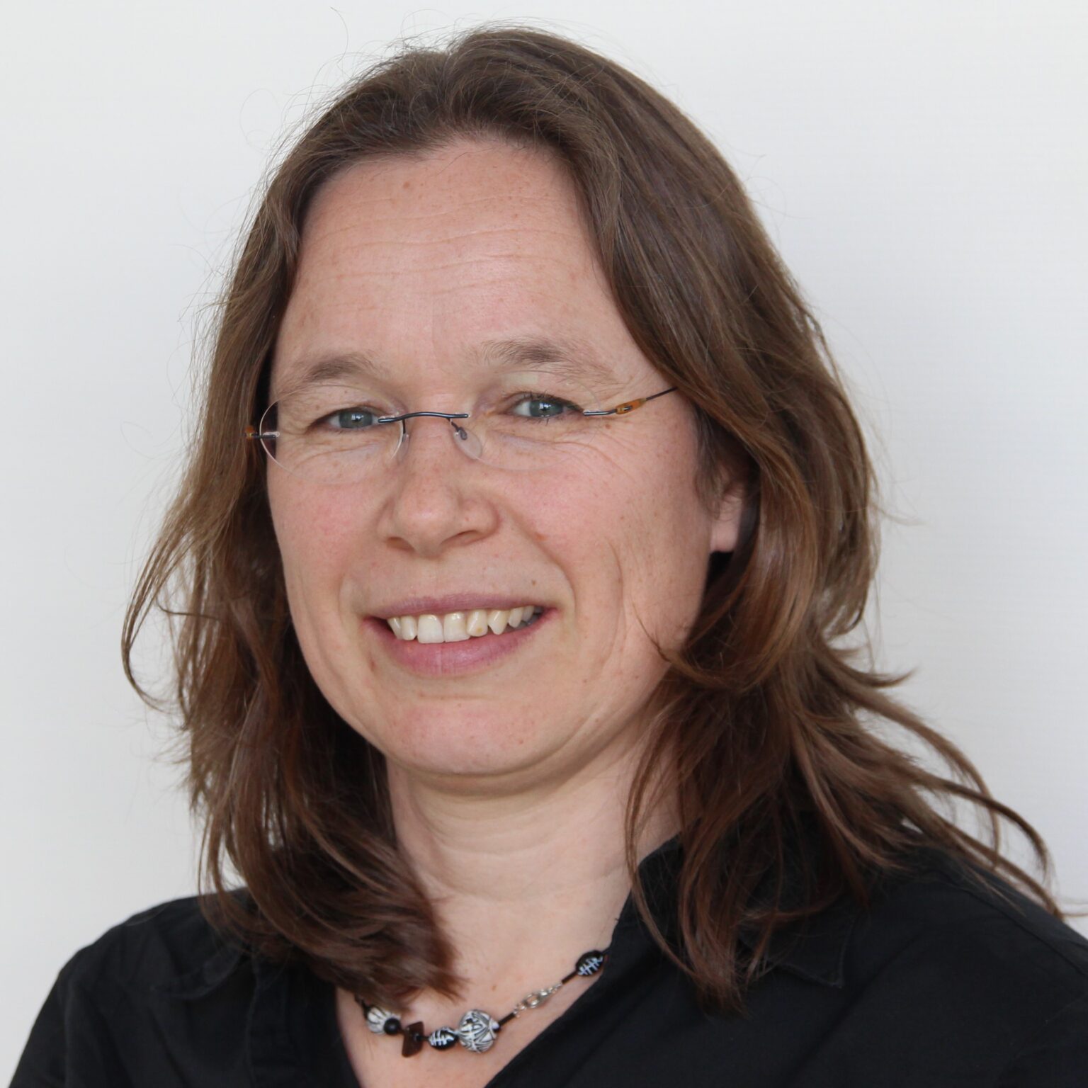 The Netherlands Organization for Applied Scientific Research (TNO ...